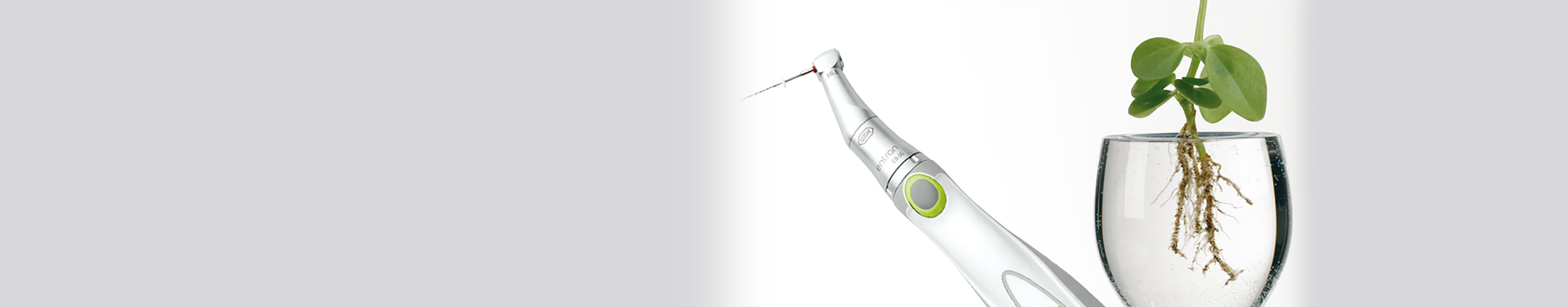 Endodontic Solutions - Endodontics | Ivoclar Vivadent Australia